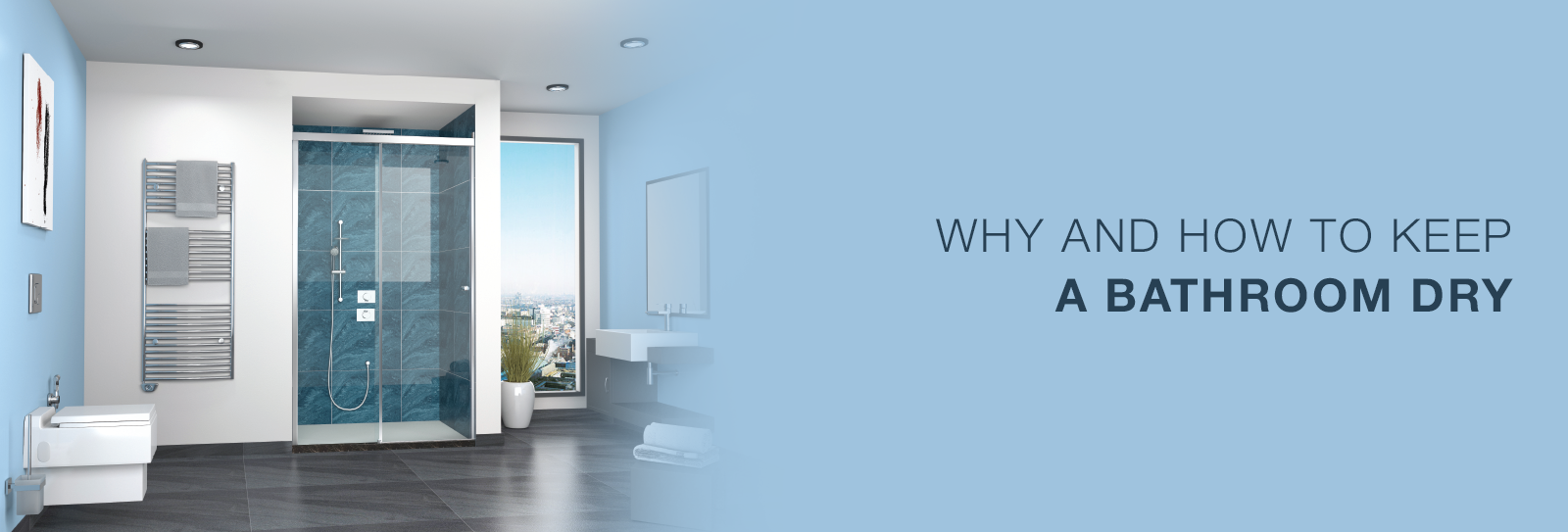 Why and How to Keep A Bathroom Dry?
