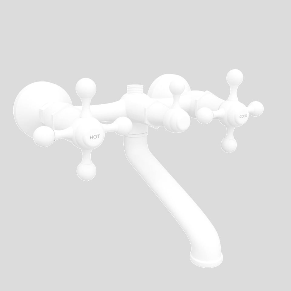 Queen's Wall Mixer | Spout + Telephonic Shower Prov.