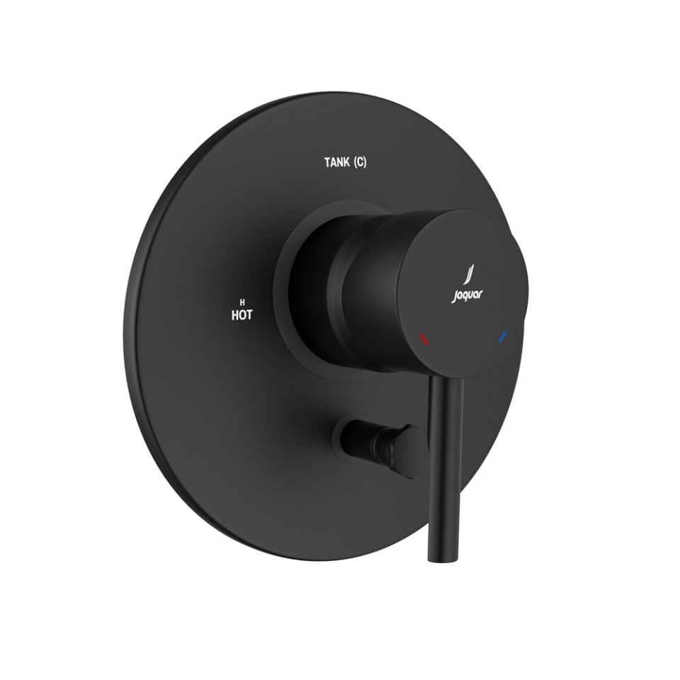 Florentine Prime- 3 Inlet Divertor Exposed Diverter Plate