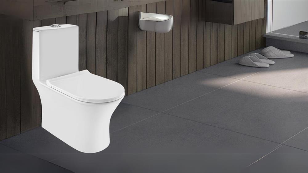 Choosing the Right Flushing System: A Comprehensive Guide