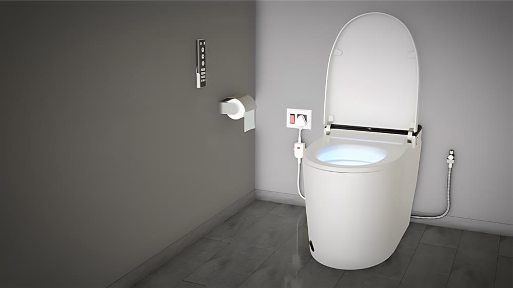 Choosing the Right Flushing System: A Comprehensive Guide